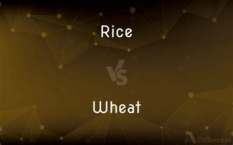 Rice Vs Wheat Whats The Difference