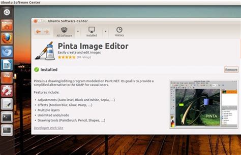 Pinta Open Source Drawing And Editing Software