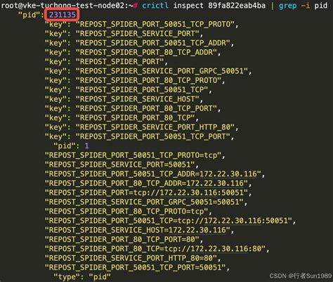 【k8s】专题十五（6）：kubernetes 网络之 Pod 网络调试 Csdn博客