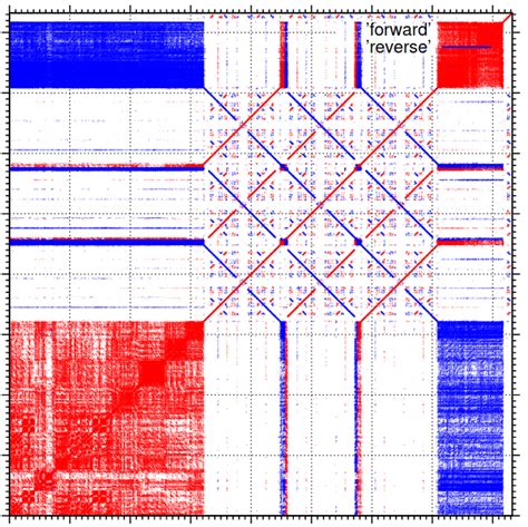Dotplot Art Genetics