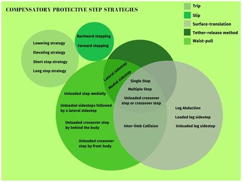 Classification And Definitions Of Compensatory Protective Step