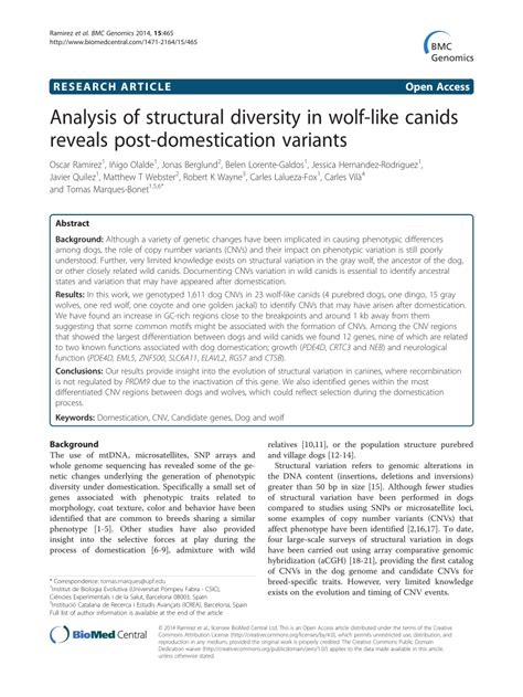 Pdf Analysis Of Structural Diversity In Wolf Like Canids Reveals Post