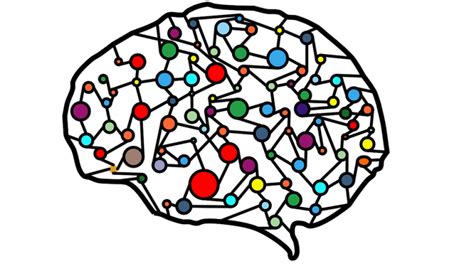 Classification Models In Machine Learning