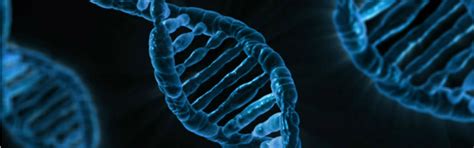 미생물의 생장 배양법 do my best biochemistry