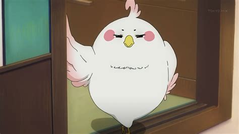 Tamako Market Lost In Anime