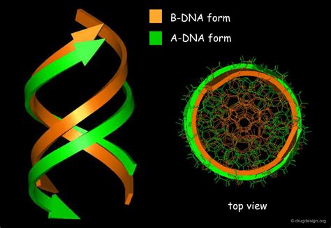 structural bioinformatics drug design org