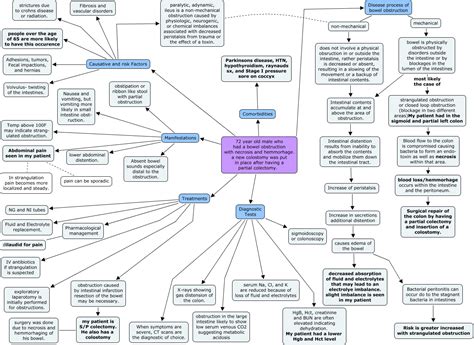 Bowel Obstruction Strangulated