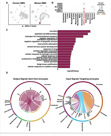 Figure 5 From High Resolution Transcriptomic Landscape Of The Human