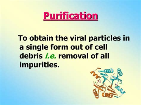 Is Purification Of A “virus” Necessary Yes Viroliegy