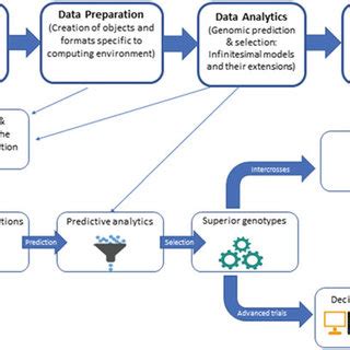 2 Generic Pipeline For Data Flow In Genomic Selection And Prediction Download Scientific Diagram