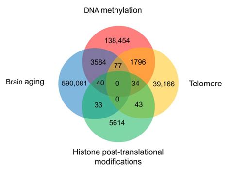 The Weight Of Dna Methylation Histone Modifications And Telomere In