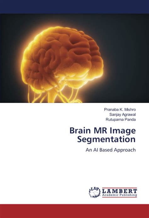 Brain Mr Image Segmentation An Ai Based Approach Mishro Pranaba K