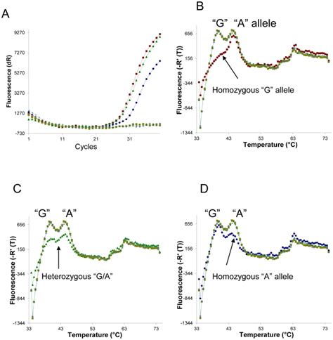 A Is The Graphic Presentation Of The Amplification Plot Of Pcr For