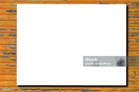 예술 회화와 사진 매달려 인테리어 장식 조롱나무 배경에 고립 된 빈 종이 모형 모형에 대한 스톡 사진 및 기타 이미지 모형 실물 모형 0명 Istock