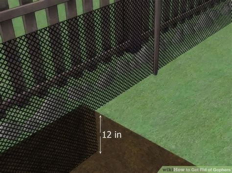 Ways To Get Rid Of Gophers WikiHow