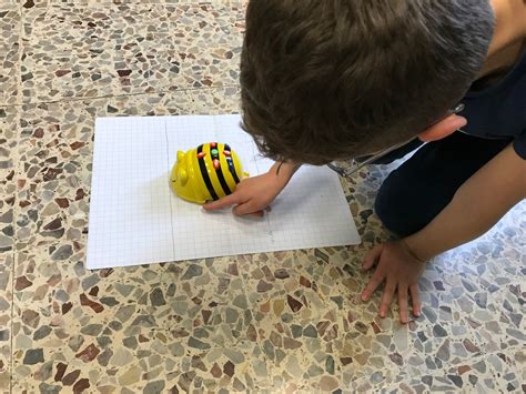 Alla Scoperta Di Bee Bot