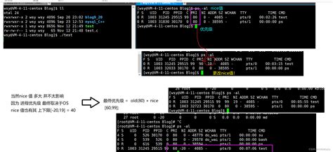 Linux小黑板 进程优先级与进程状态 feed stop可以执行程序吗 CSDN博客