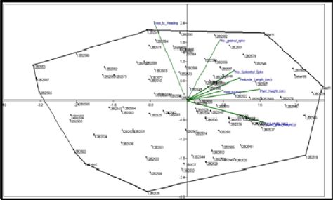 Biplot Based On Mean Data Of Hundred Wheat Genotypes Under Drought