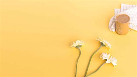 Image Carousel Widget For Elementor Addons Exclusive Addons