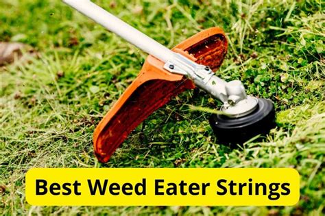 7 Best Weed Eater String Of 2026 Reviews