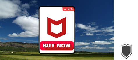 How To Stop McAfee Pop Ups A Clear And Confident Guide Privacy Defend