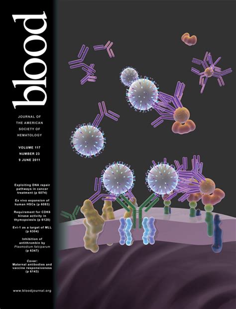 Skeletal Muscle Hemojuvelin Is Dispensable For Systemic Iron