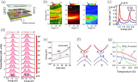 A Schematic Geometry Of A Bottom Contact Top Gate Light Emitting Download Scientific Diagram