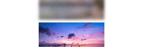 Lazy Loading Images Angular Increase Performance Without Libraries