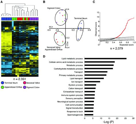 Transcriptional Profiling Analysis Identifies Regional Variations Of