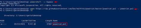 Powercat For Pentester
