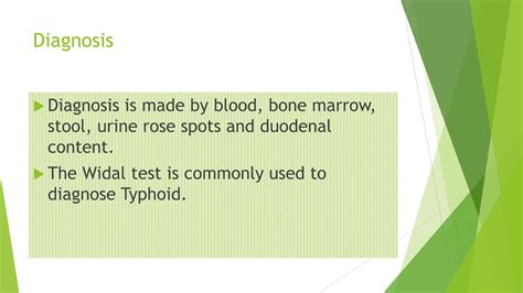 Pathophysiology Of Typhoid Fever And The Works Pptx
