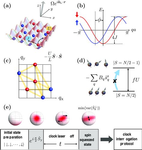 Schematic Of The Setup For Spin Squeezing A We Consider N Fermionic