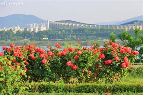 서울시 내 손안에 서울