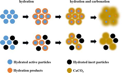 Diagram Of The Carbonation Process Of Hl Mortars With Ss Download