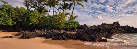 Adopting The Net Generic Host