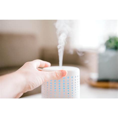 Cleaning Your Diffuser ECO Modern Essentials