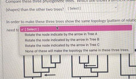 Solved Compare These Three Phylogenetic Trees Which One