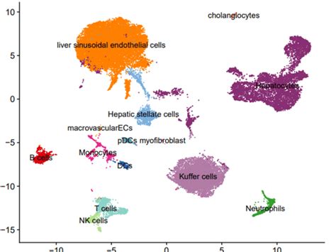 Publication Ready Tables And Figures For A Single Cell RNA Seq Project Upwork