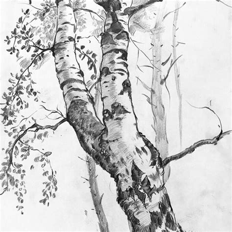 How To Draw Realistic Trees With Pen Ink Artofit