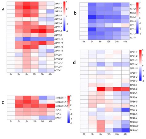 Heat Map Showing Log2 Normalized Expression Fold Changes At Each Time