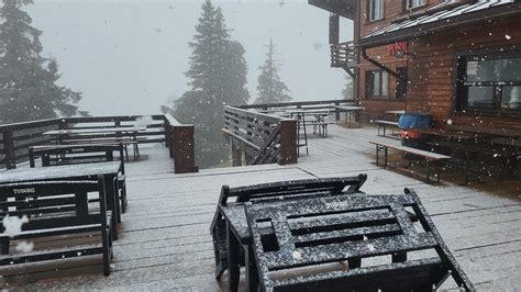 Video Ninge în Poiana Braşov La Cabana Postăvarul Deja S A Pus