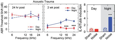 Diurnal Variation In Sensitivity To Noise Download Scientific Diagram