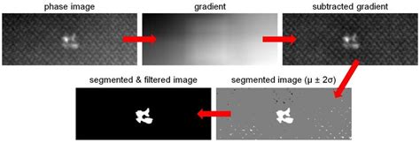 Sizing Of A Cfrp Impact Damage 100 J In A Phase Image 001 Hz From