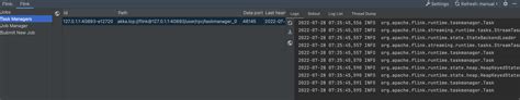 Flink Monitoring DataGrip Documentation