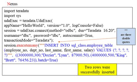 Understanding Advanced Python Part 5 Software Connecting All Databases
