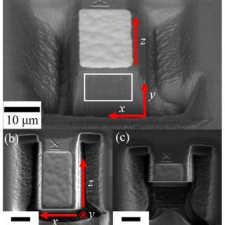 FIB SEM Tomography Analyzed Volume A Image Showing Cross Section Download Scientific