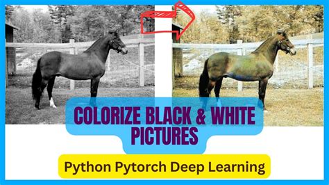 Colorizing Black & White Photos using Python and PyTorch | AI Deep Learning Project with Colab ...