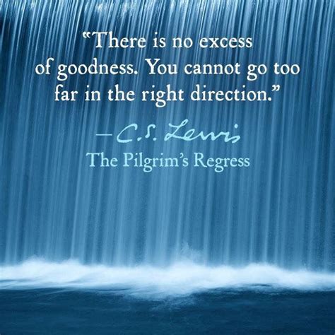 There Is No Excess Of Goodness You Cannot Go To Far In The Right