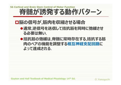 56 Cortical And Brain Stem Control Of Motror Function Pdf