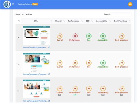 Audit Overview Report